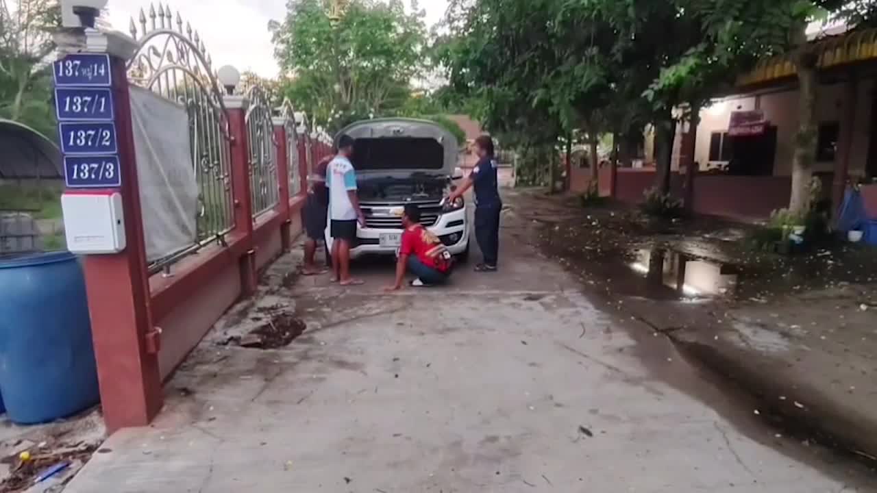 Wildlife rescuers removes monitor lizard from car engine