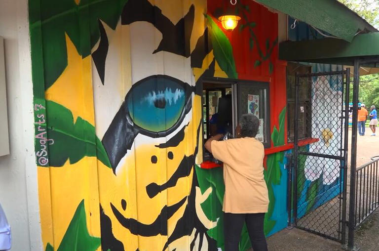 Jackson Zoo unveils colorful makeover with murals, splash pad