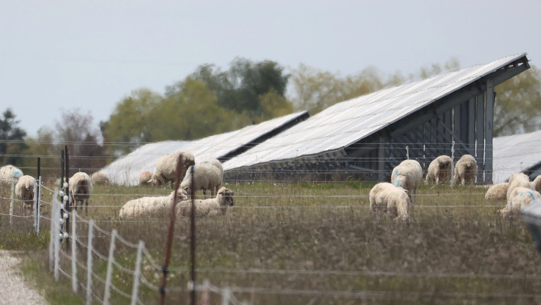 Smart and sustainable livestock farming tips