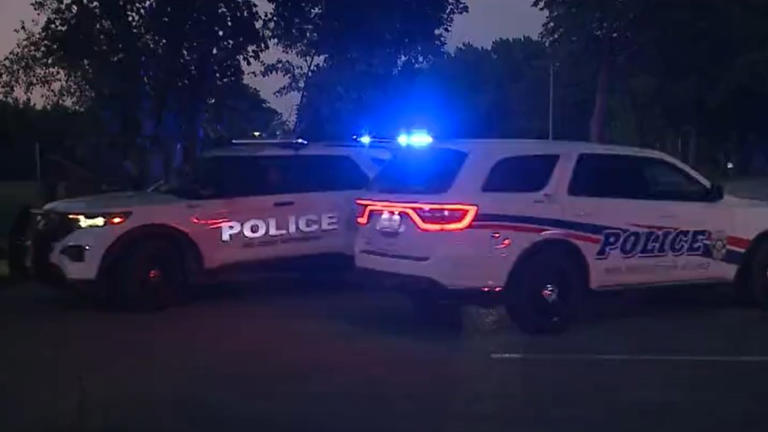 Large police presence breaks up fight at Boardman Park