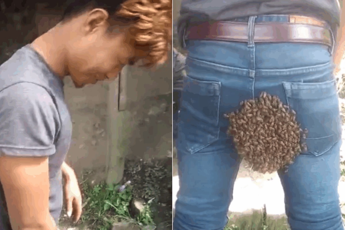 Indian man stands frozen for 30 minutes after honeybees land on his ...