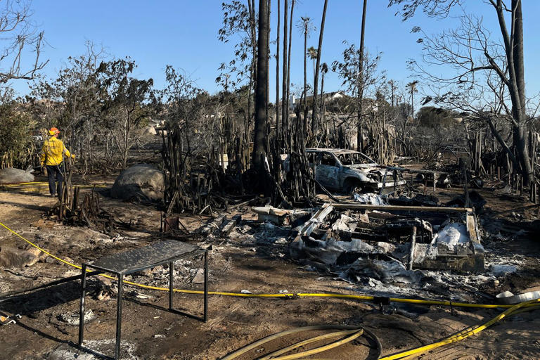 Over 3 million honeybees burned in California wildfire, beekeeper says ...