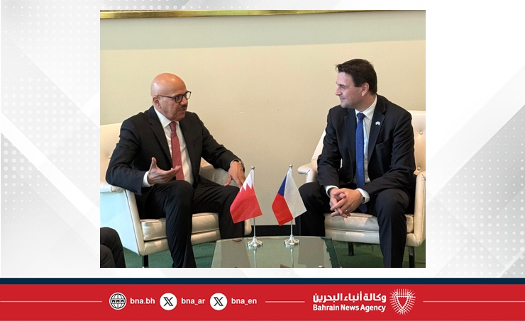 Foreign minister meets Czech counterpart