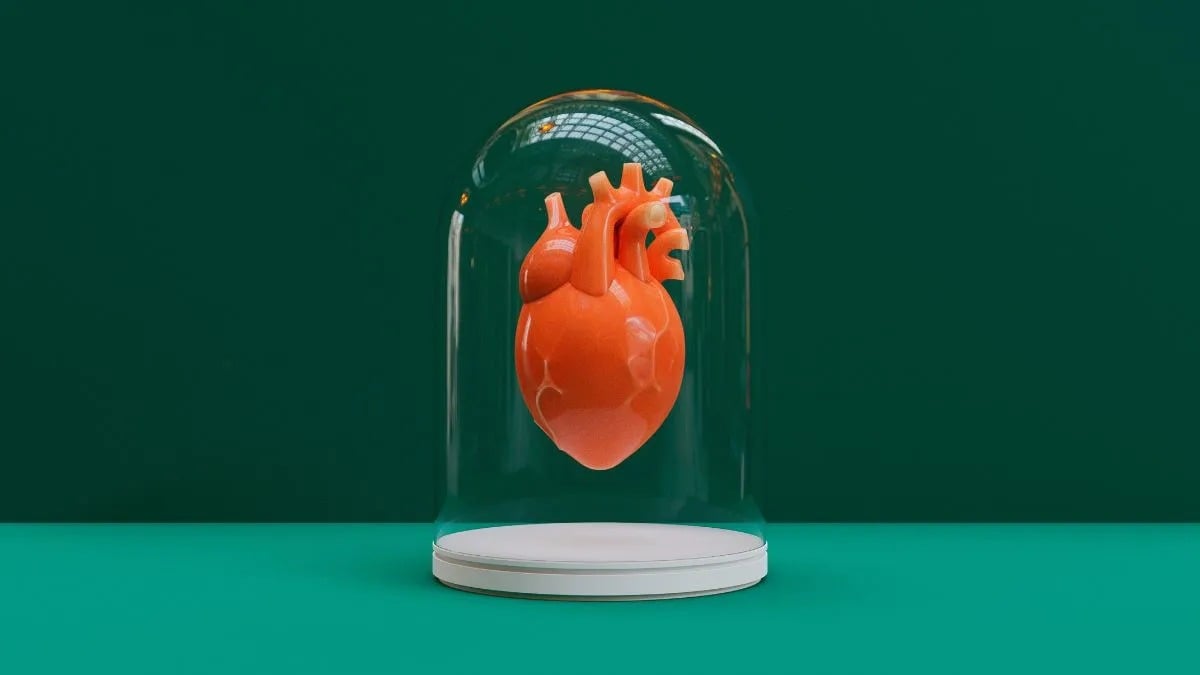 Chinese scientists achieve breakthrough with lab-grown heart ...