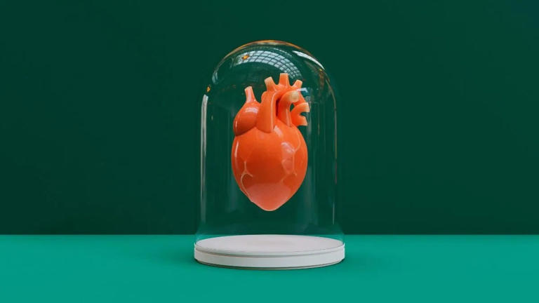 Chinese scientists achieve breakthrough with lab-grown heart ...