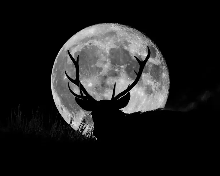 Pleine lune du cerf, pluie d’étoiles filantes des Delta Aquarides… les ...