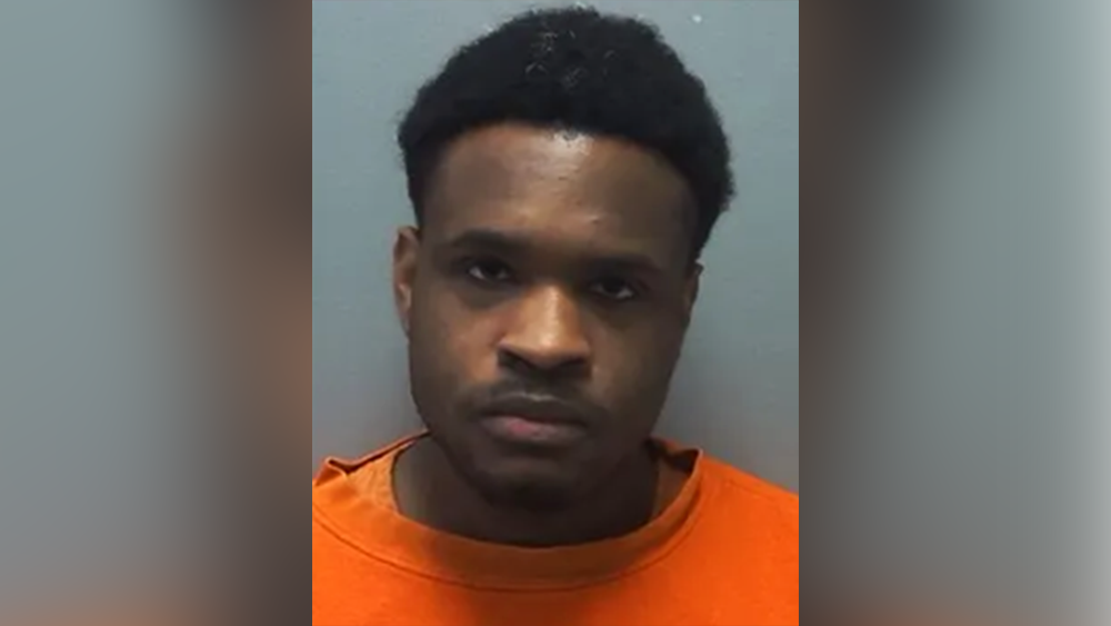 Georgia man gets life sentence after brutal attack on woman he hired to ...