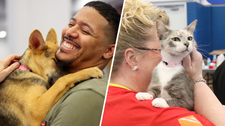 Over 1,000 pets will be looking for homes at mega adoption event in ...