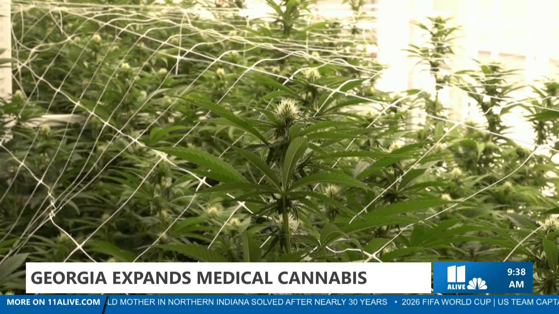 Georgia expands medical cannabis access under new law