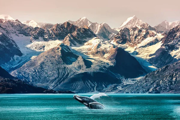 Why an Alaskan cruise beats a European river trip