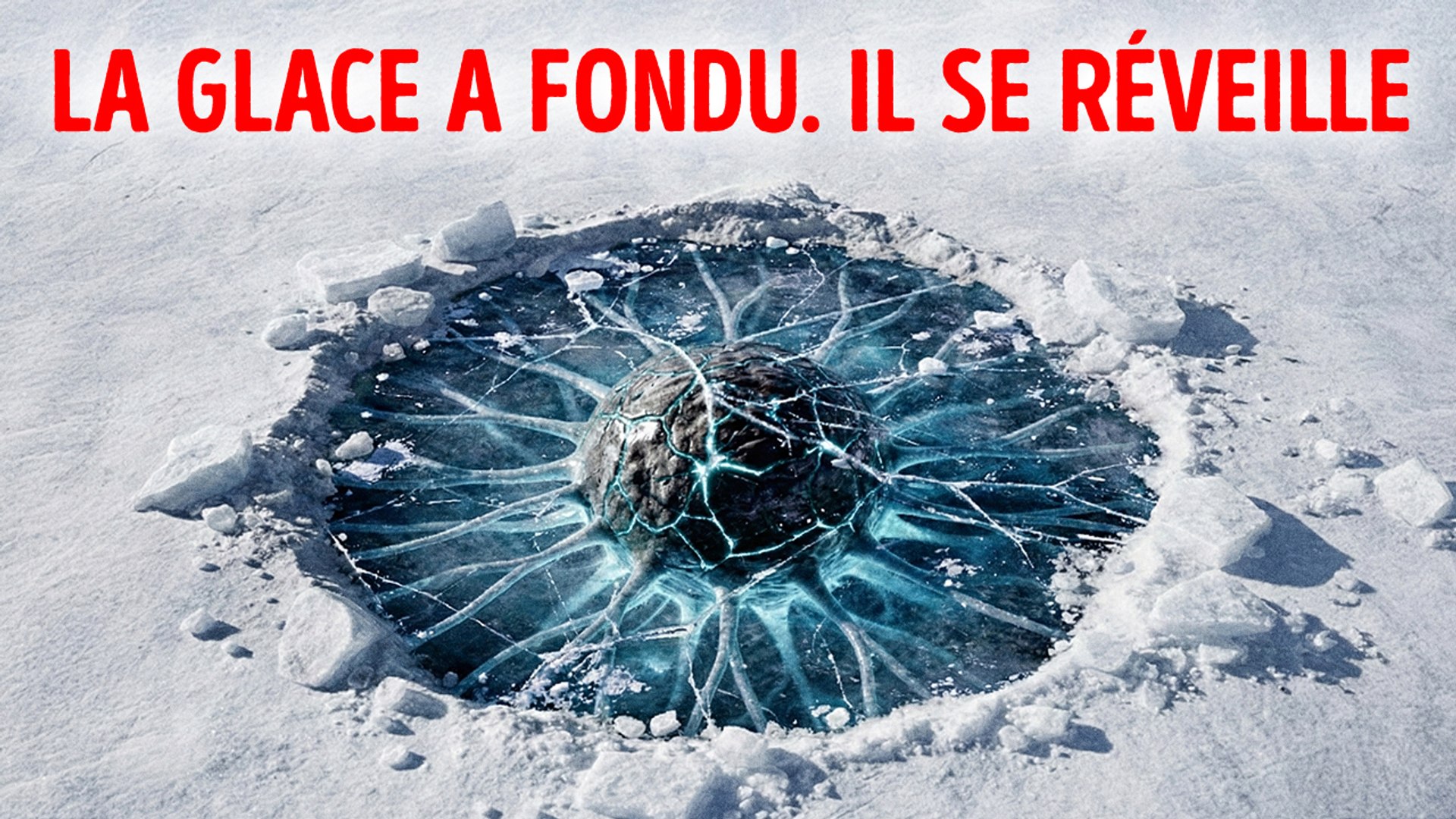Des microbes anciens : une révélation gelée en Alaska!