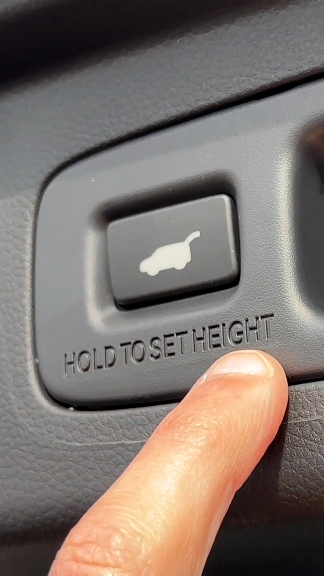 What are the benefits of adjusting the trunk height as needed?
