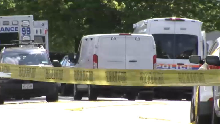 Woman seen fleeing scene of fatal stabbing in Massapequa: sources