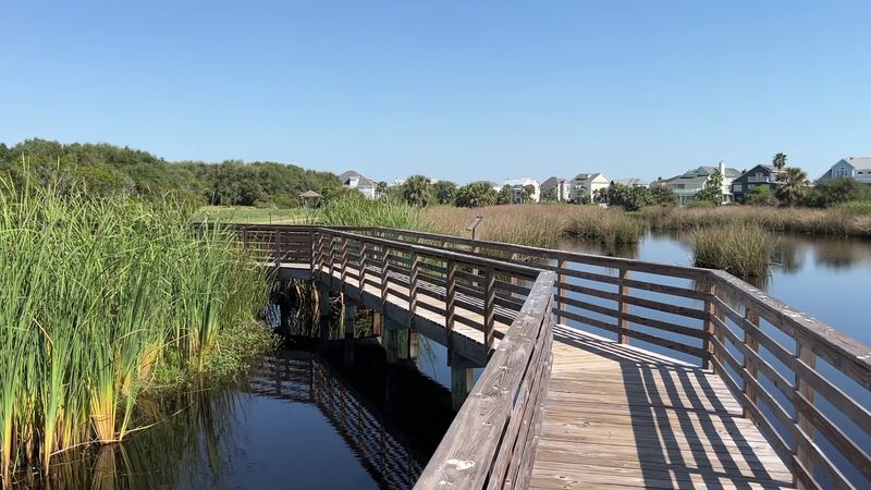 This Texas boardwalk trail takes you through a hidden bird sanctuary ...