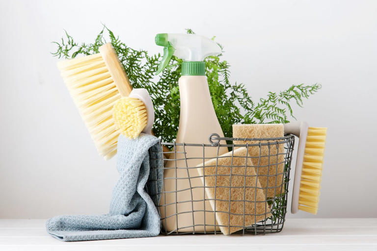 The heavy rain will drive these 5 pests into your home – here’s what ...