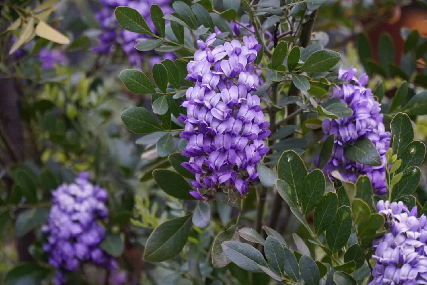 22 cheap landscaping tricks that make your yard look better fast