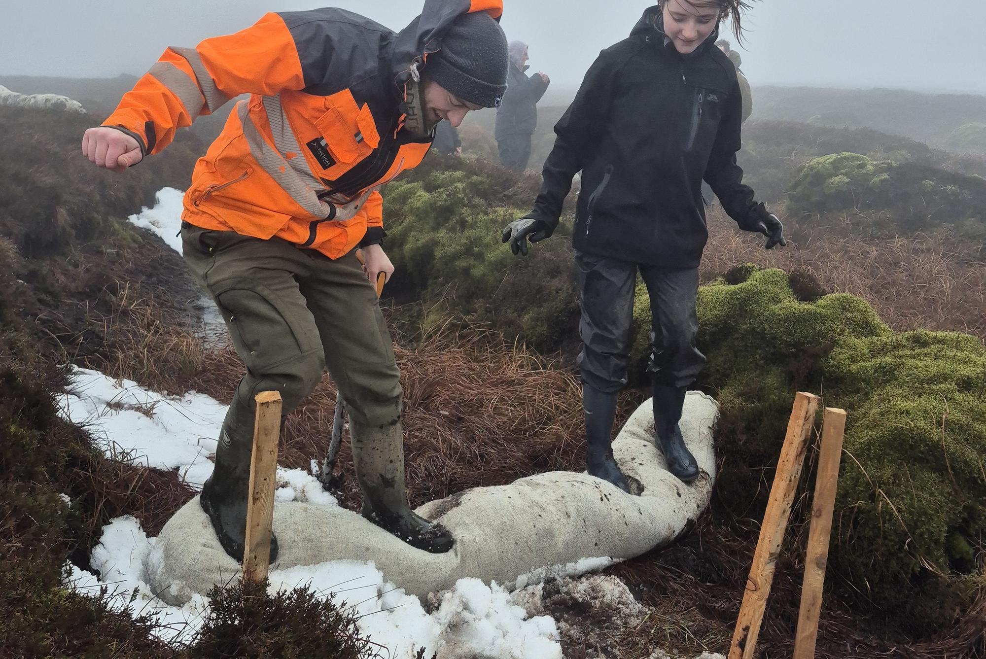 Shear genius: How farmers and environmental experts came together to ...