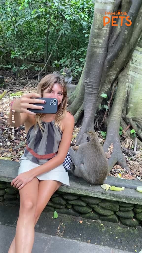 Mischievous monkey targets tourist in Bali