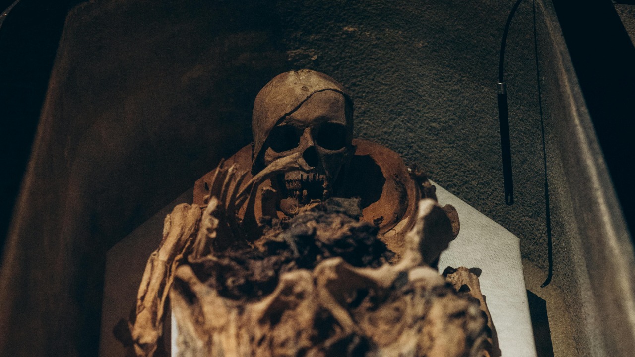 Egyptian archaeologists just pulled gold-foil-wrapped mummies with ...
