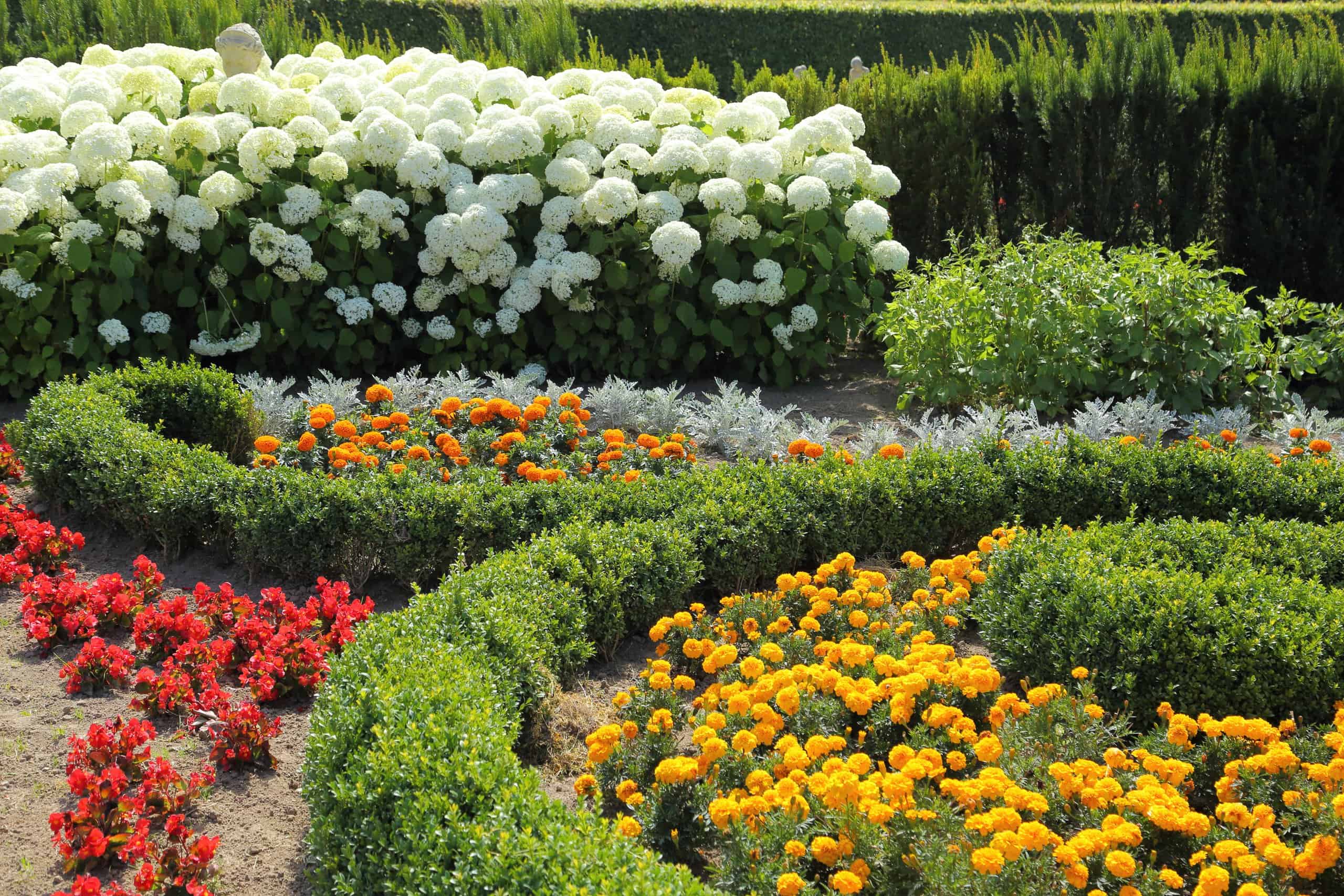 22 cheap landscaping tricks that make your yard look better fast