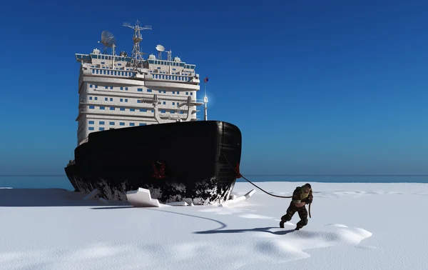 Why a cruise to the Arctic beats an Antarctic trip