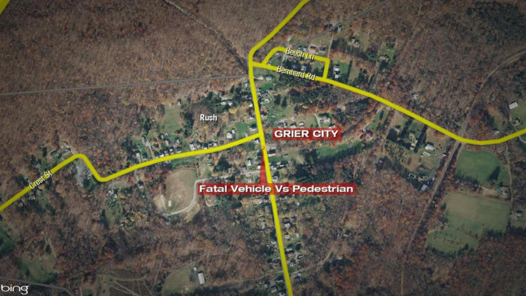 Man dies after being hit by a vehicle