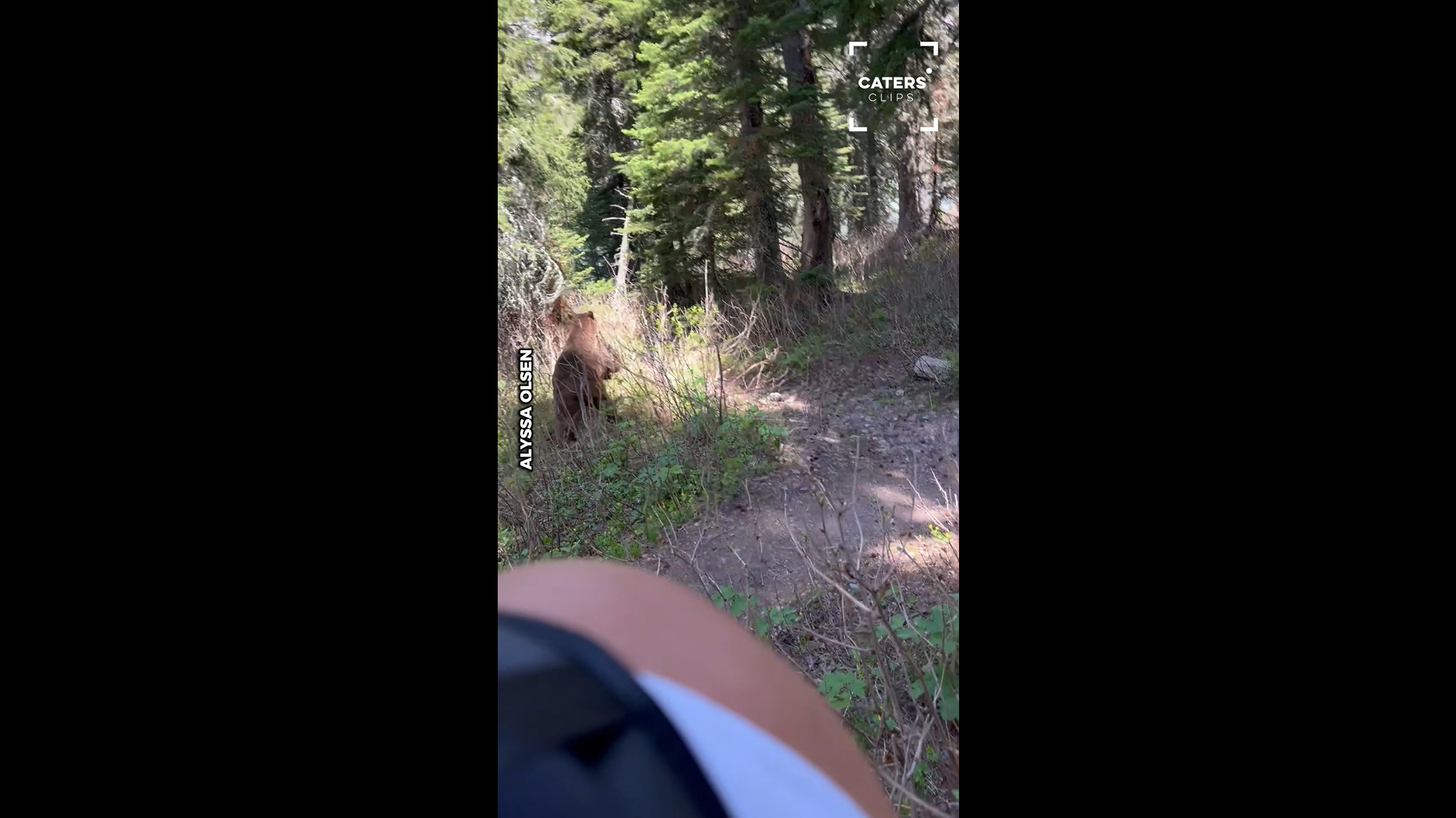 Scary grizzly bear encounter caught on camera in Glacier National Park