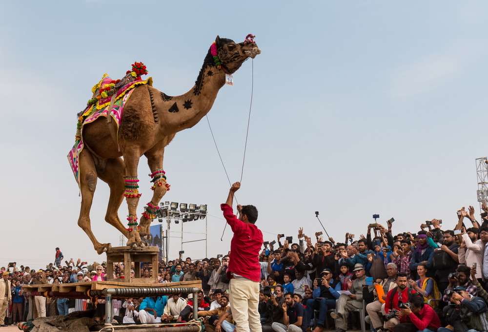 15 African festivals worth a trip