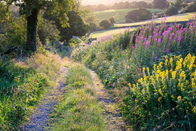 Summer’s lease hath all too short a date. These stunning quotes ...