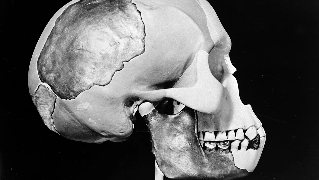 19 famous hoaxes that deceived the public