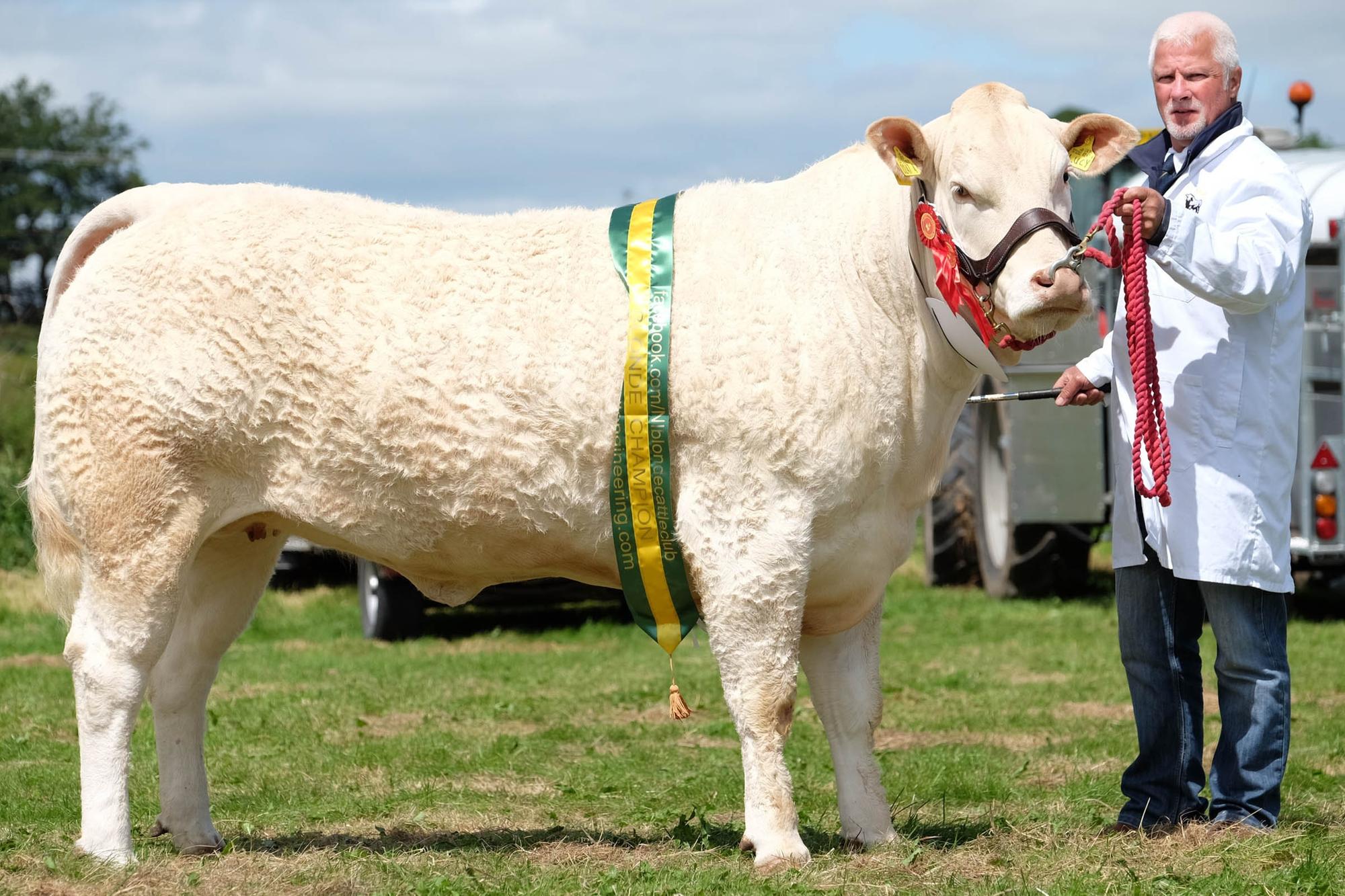 Share Energy sponsors Northern Ireland agricultural shows as rural ...