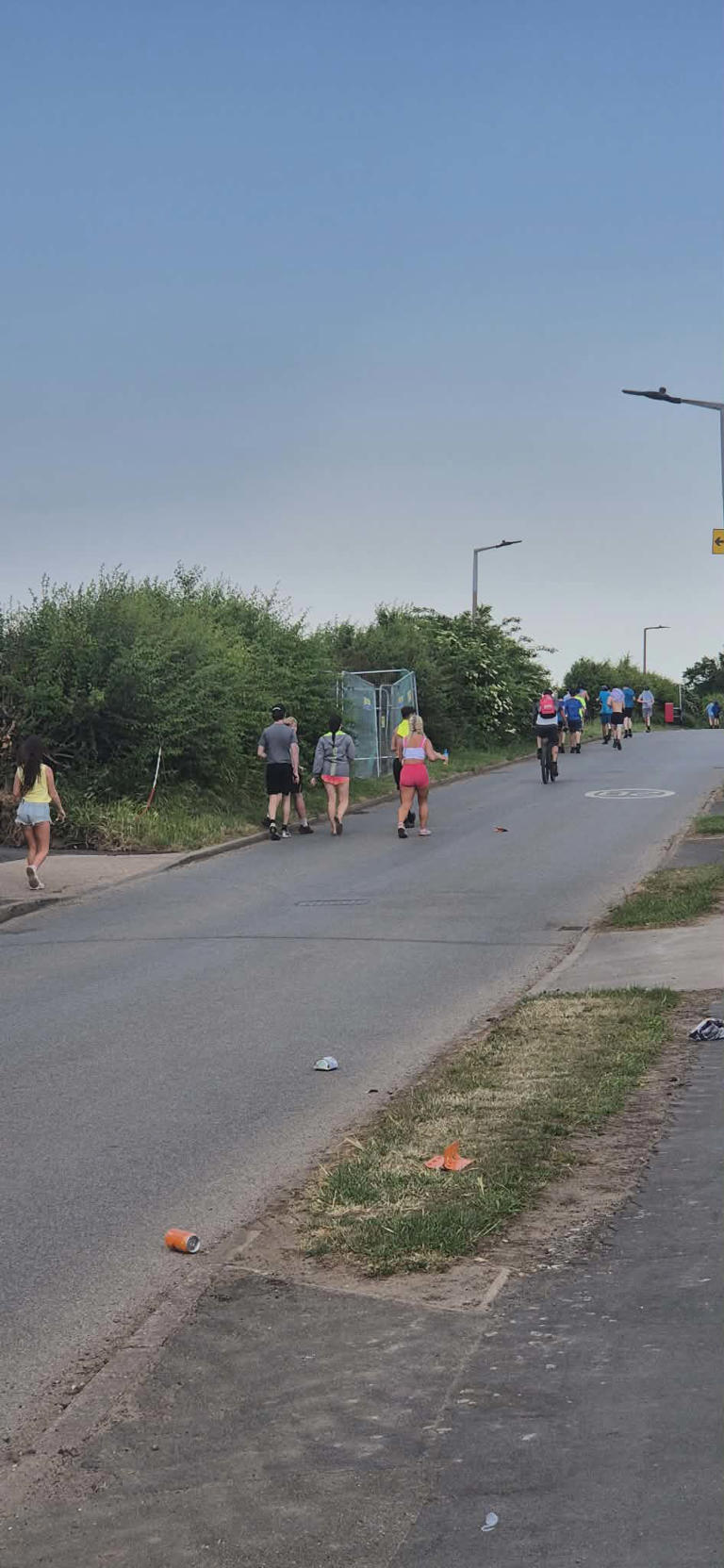 Children attack and injure female Tesco van driver before stealing ...