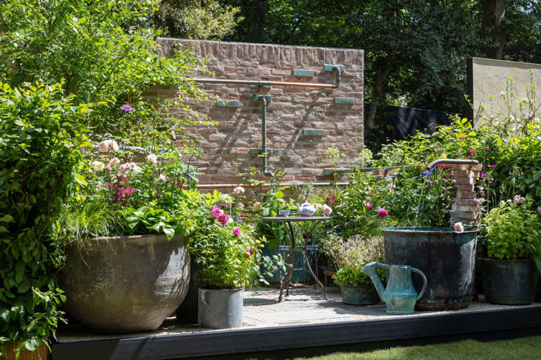I have a small London garden — these Chelsea Flower Show ideas changed ...