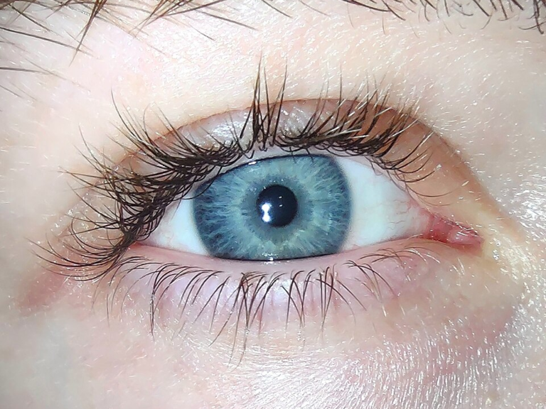 Humans unlike other animals have weirdly white eyes: Here’s why