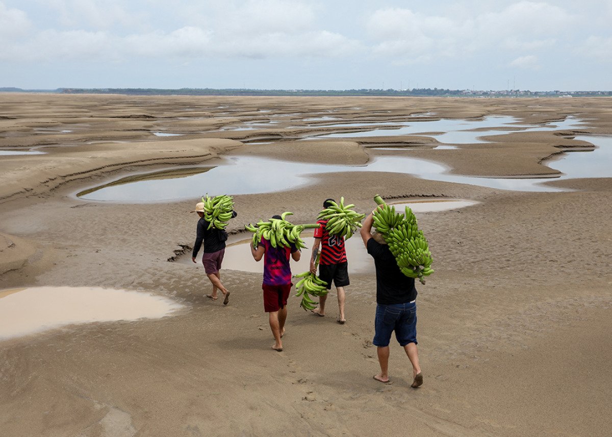 The world is getting too hot to feed itself