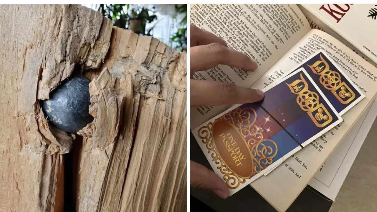 30+ unexpected discoveries people stumbled upon by accident