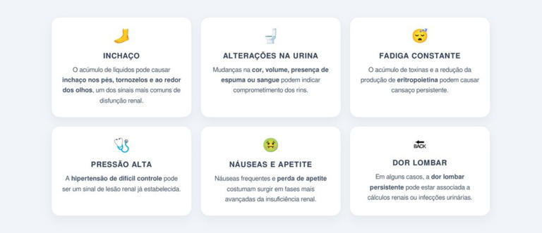 Como funcionam os rins e por que é importante cuidar deles?