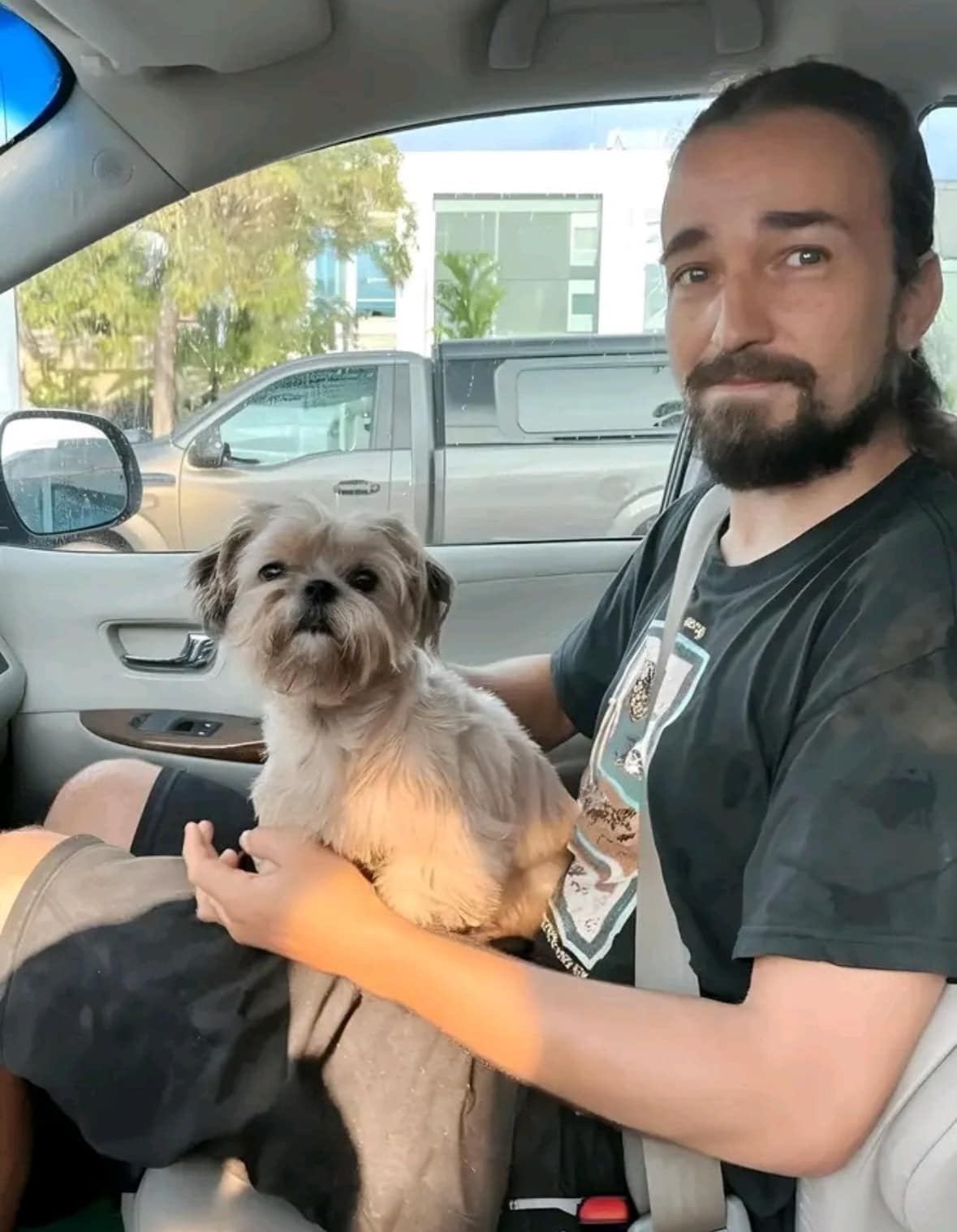 Ellie salvata dal traffico e restituita alla famiglia grazie al microchip