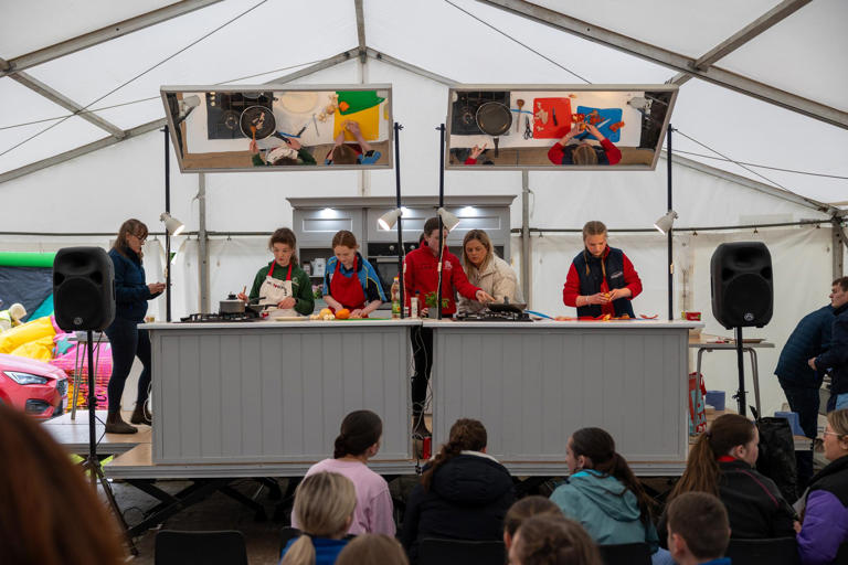 Share Energy sponsors Northern Ireland agricultural shows as rural ...