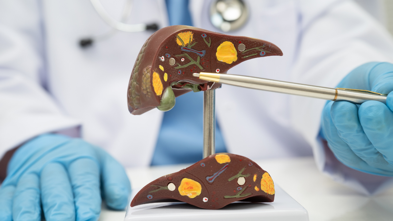 Swollen liver often feels like bloating: Here’s how a doctor tells the ...