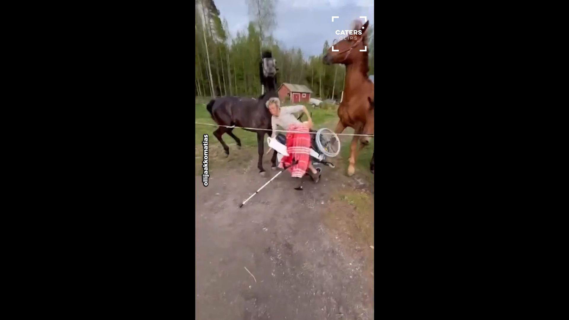 Wheelchair user flipped over by horse during recovery visit