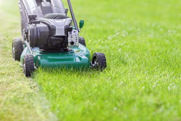 Gardeners warned not to mow lawn or cut grass this week