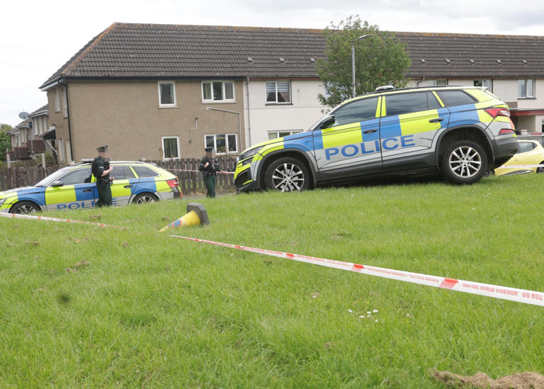 Downpatrick dangerous driving accused appears in court