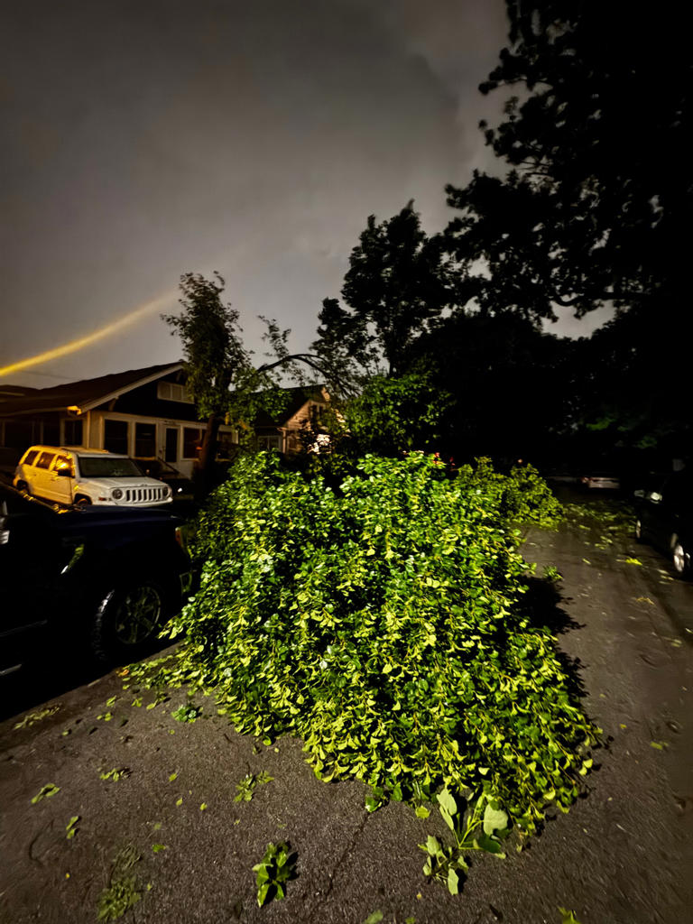Photos: Overnight storms in Kansas City bring wind damage, trees down