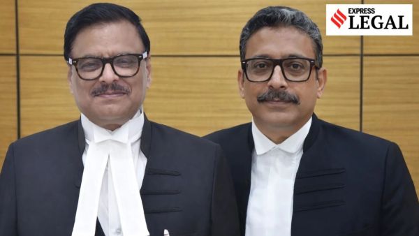 Wildlife study first, tree felling later: Court closes PIL against Rs ...