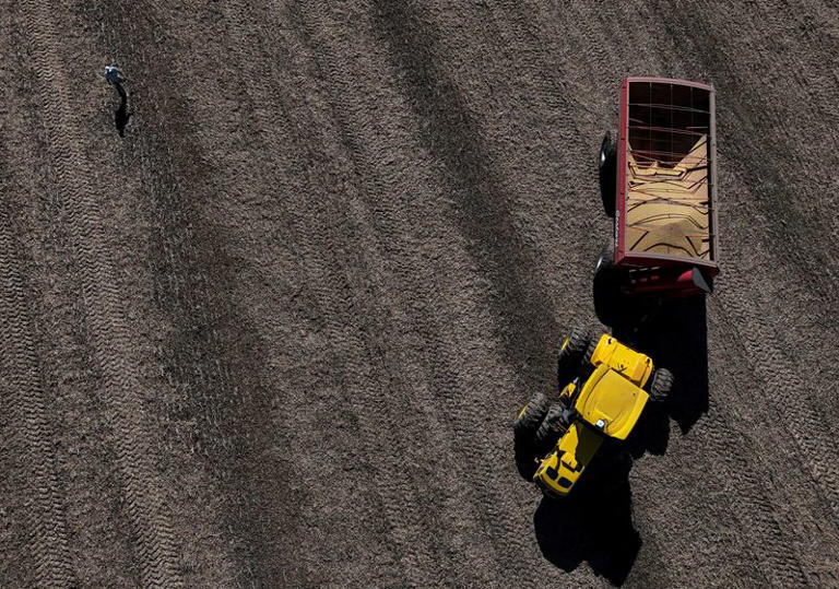 Ingresos por exportaciones agrícolas de Argentina caen 12% interanual ...
