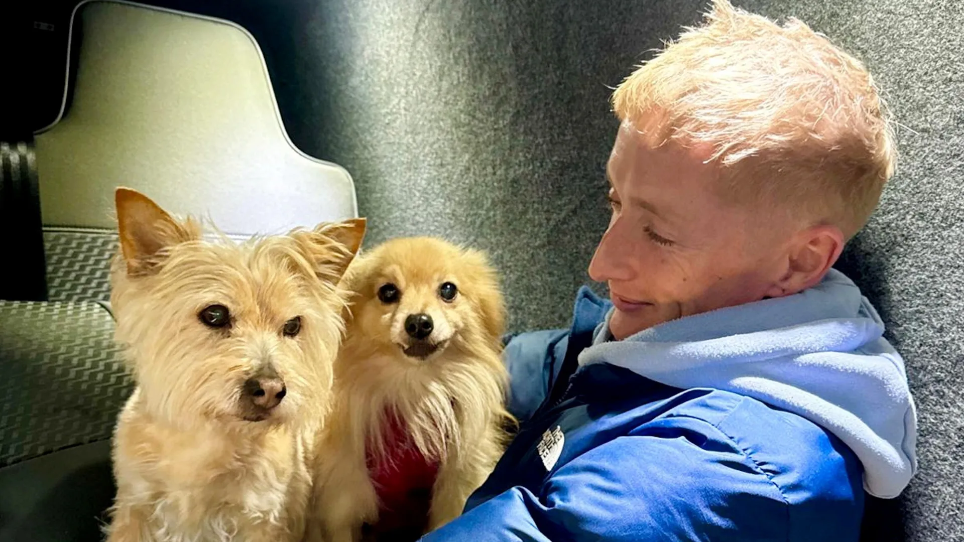 Man saves £1.5k a month by living in VW van with his two dogs