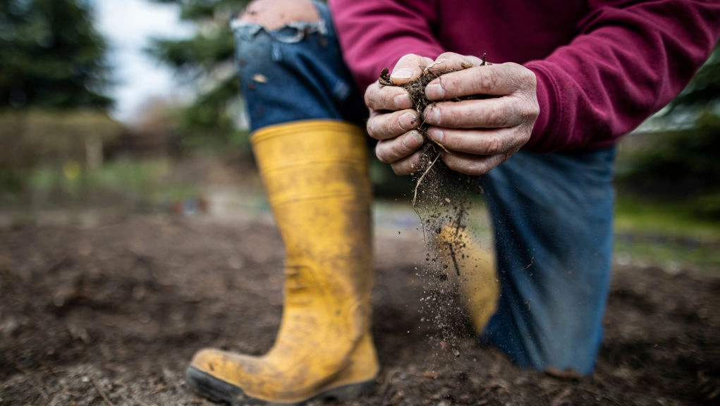Soil secrets every plant parent should know
