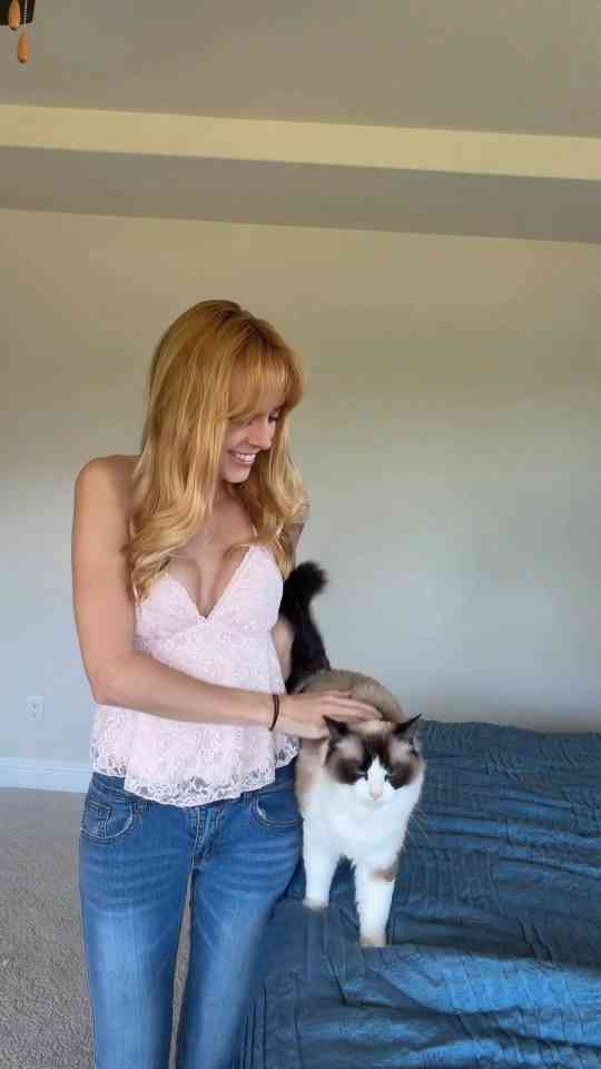 Meet Strawberry, one of the sweetest cats