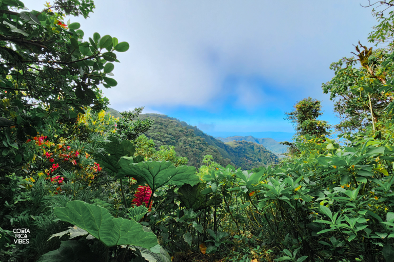 Monteverde, Costa Rica: What to know before you go (from someone who ...